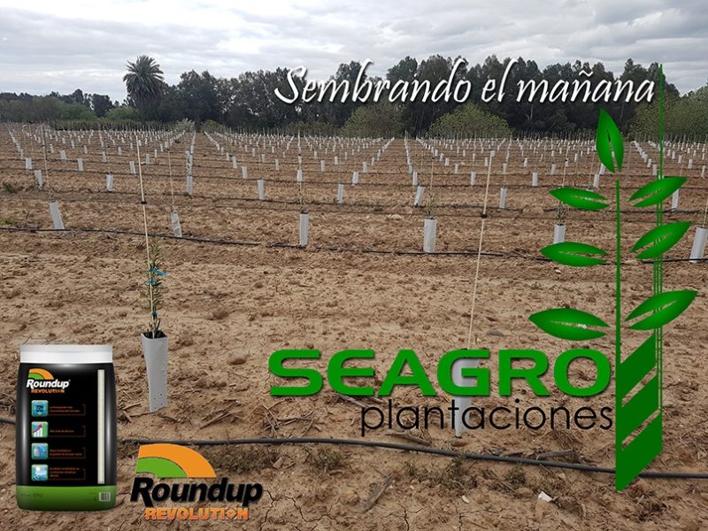 AECCAA | Incorporación de SEAGRO al grupo de empresas que apuestan por ...