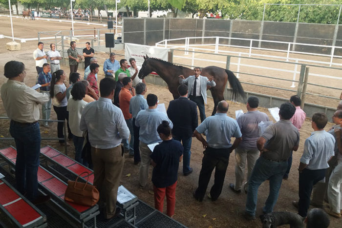 AECCAA | Formación en la GSAA