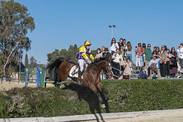 AECCAA | LA ANGLO-ÁRABE SEVILLA CP GANA EL STEEPLECHASE CROSS COUNTRY ...