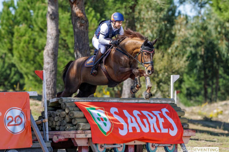 AECCAA | VICTORIA INTERNACIONAL DEL ANGLO-ÁRABE ESPAÑOL ULTRASOURCE DEL ...